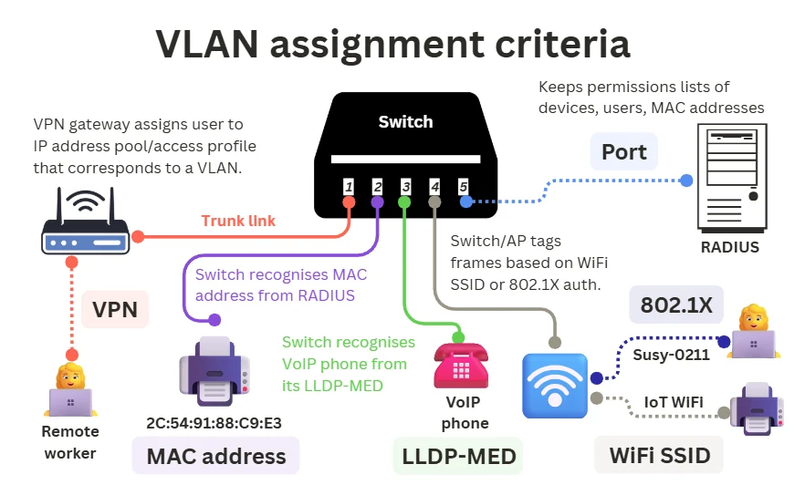 Business VLANs: Segmented Local Networks For Security & Speed